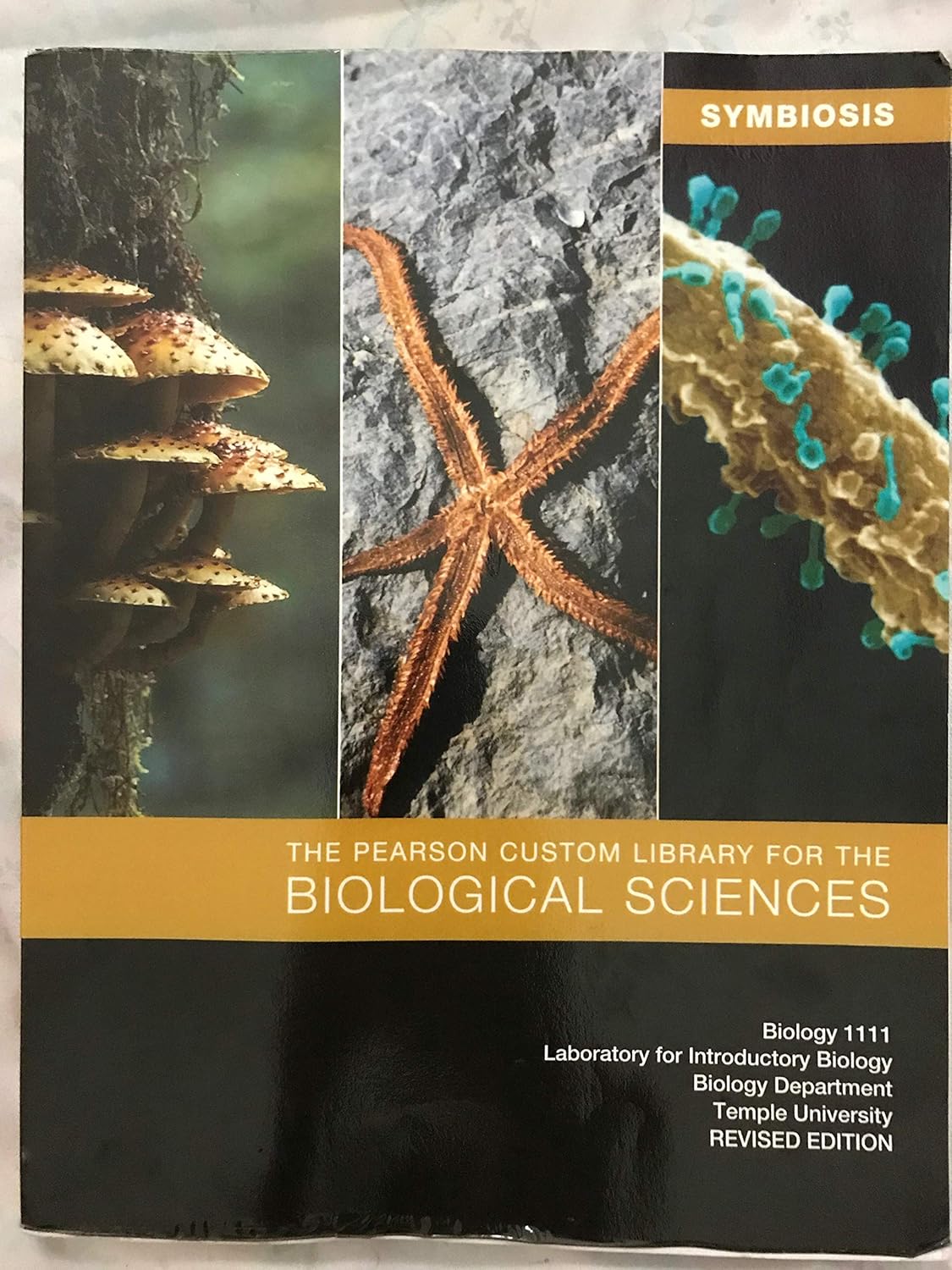 Amazon.com: Laboratory for Introductory Biology: unknown author: Books