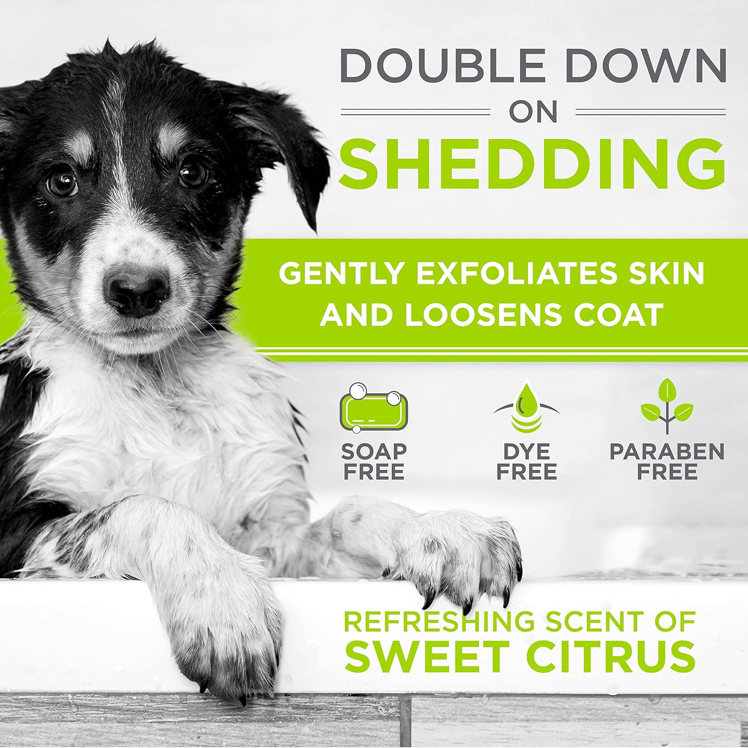 TropiClean Champú Perfect Fur Dog para control de desprendimiento y ...