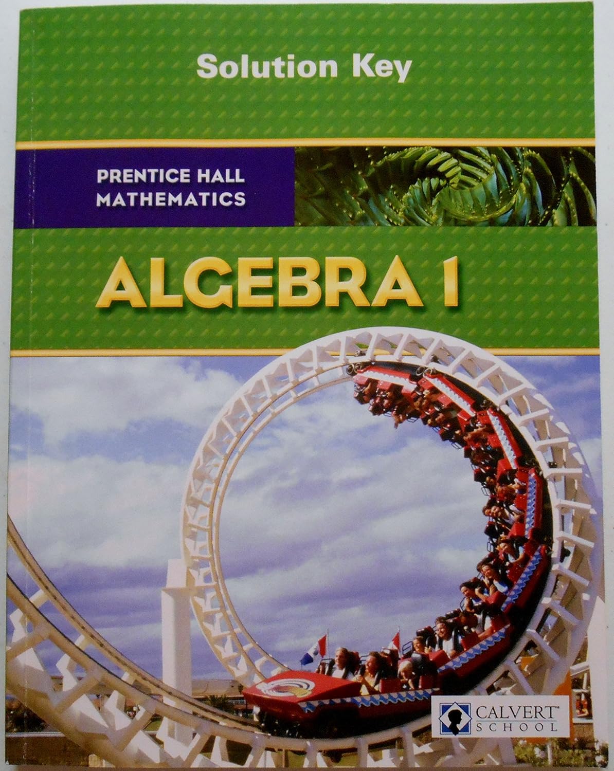 Prentice Hall Mathematics: Algebra 1 Solution Key: Prentice Hall ...