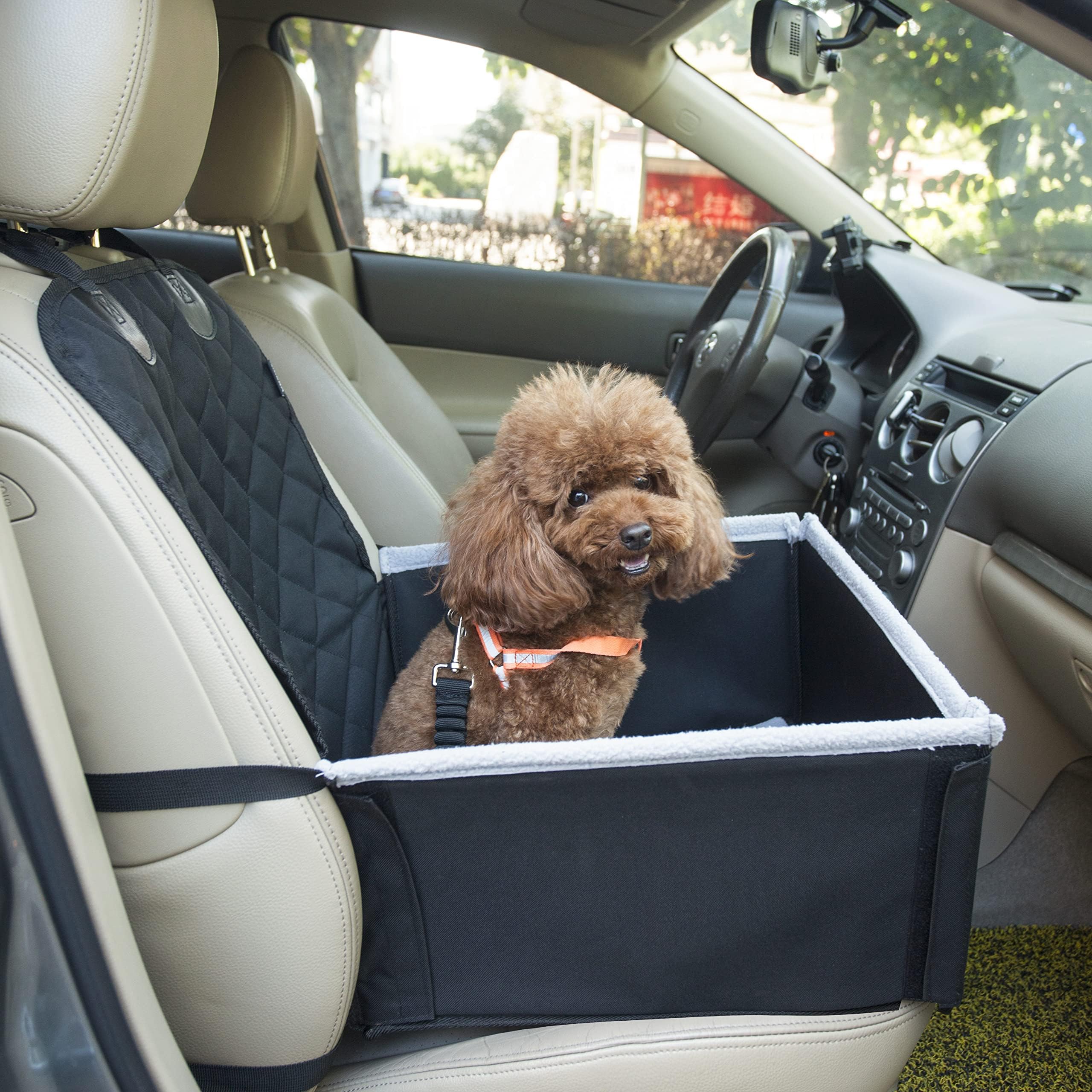 Vicera Hunde Autositz für Kleine & Mittlere Hunde mit Kissen und ...