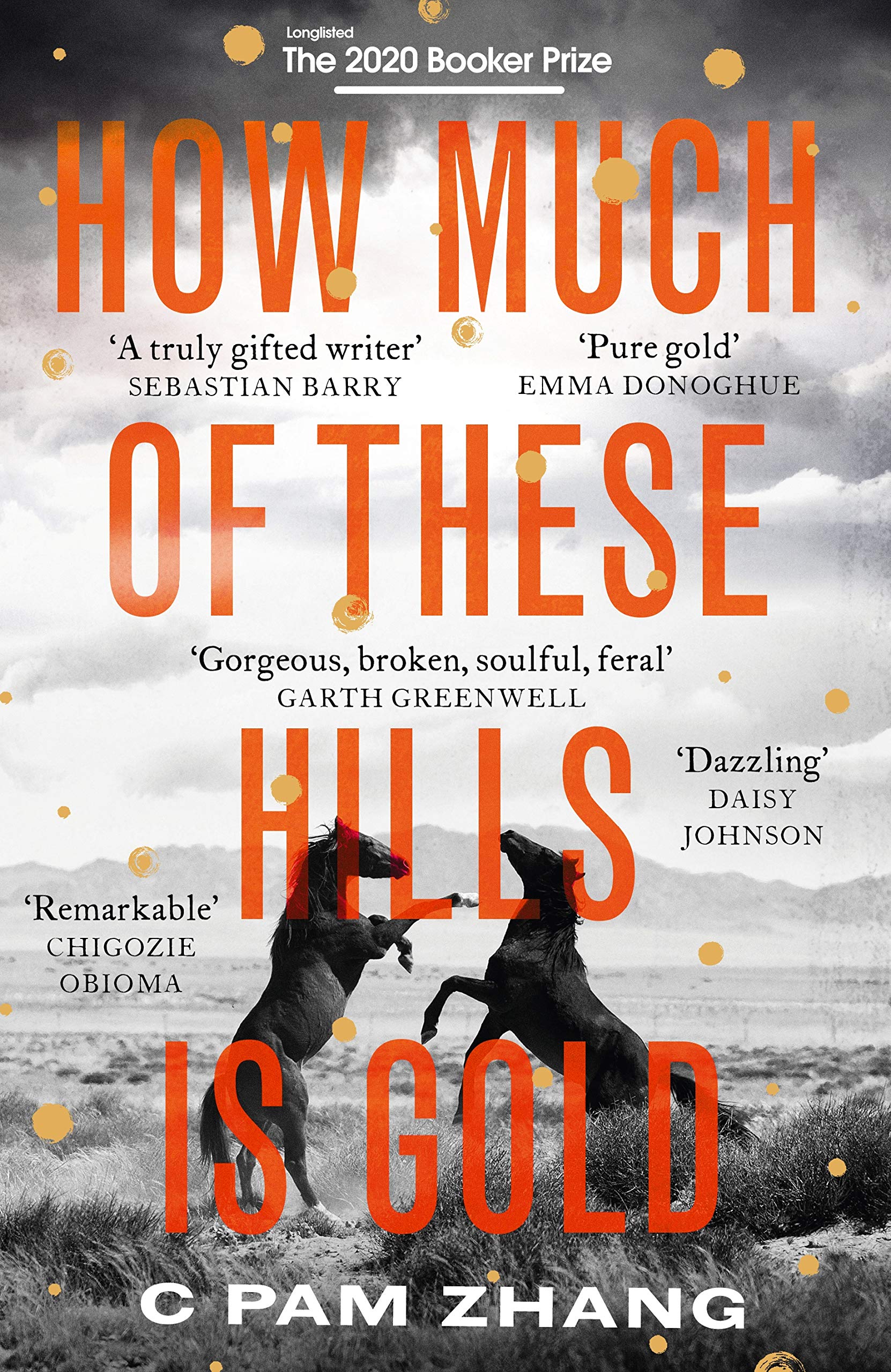 How Much of These Hills is Gold: Longlisted for the Booker Prize 2020 ...