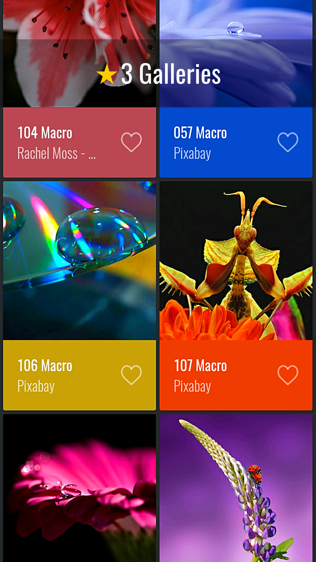 Macro Wallpapers - App on Amazon Appstore