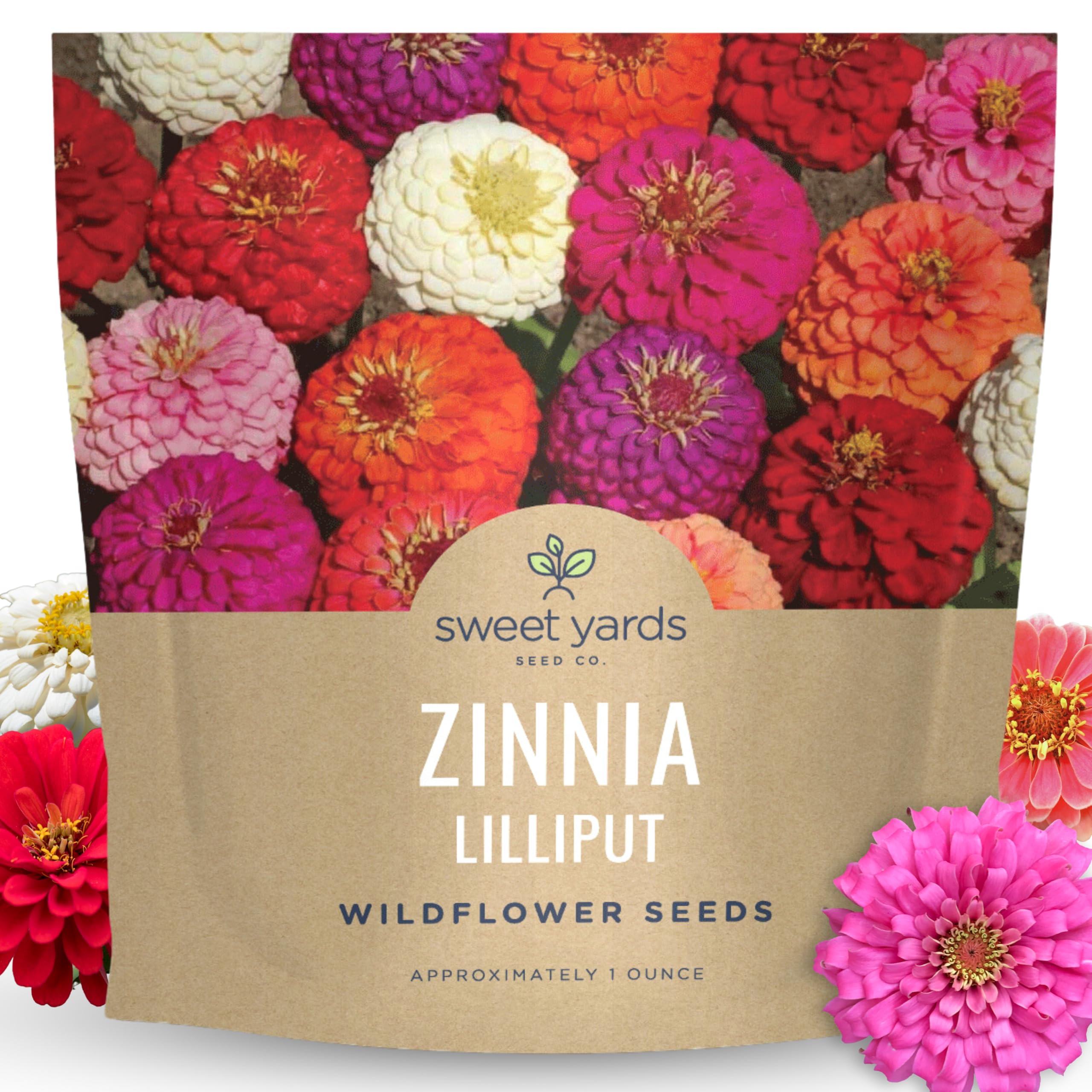 Amazon.com: Zinnia Lilliput Mix - Large 1 Ounce Packet - 4,000 Flower ...