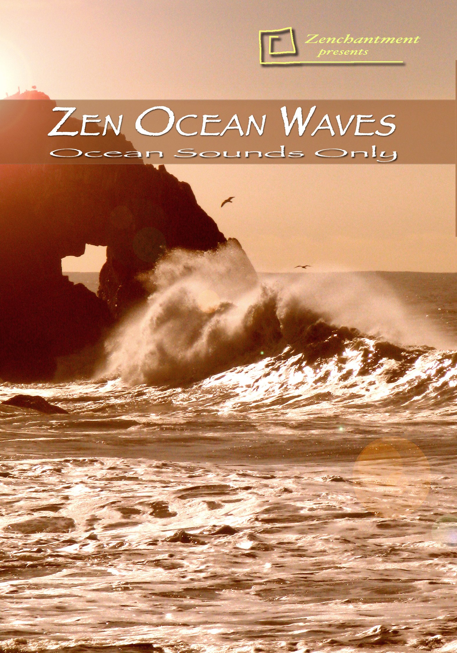 Amazon.co.jp: Zen Ocean Waves - (Ocean Sounds Only)を観る | Prime Video