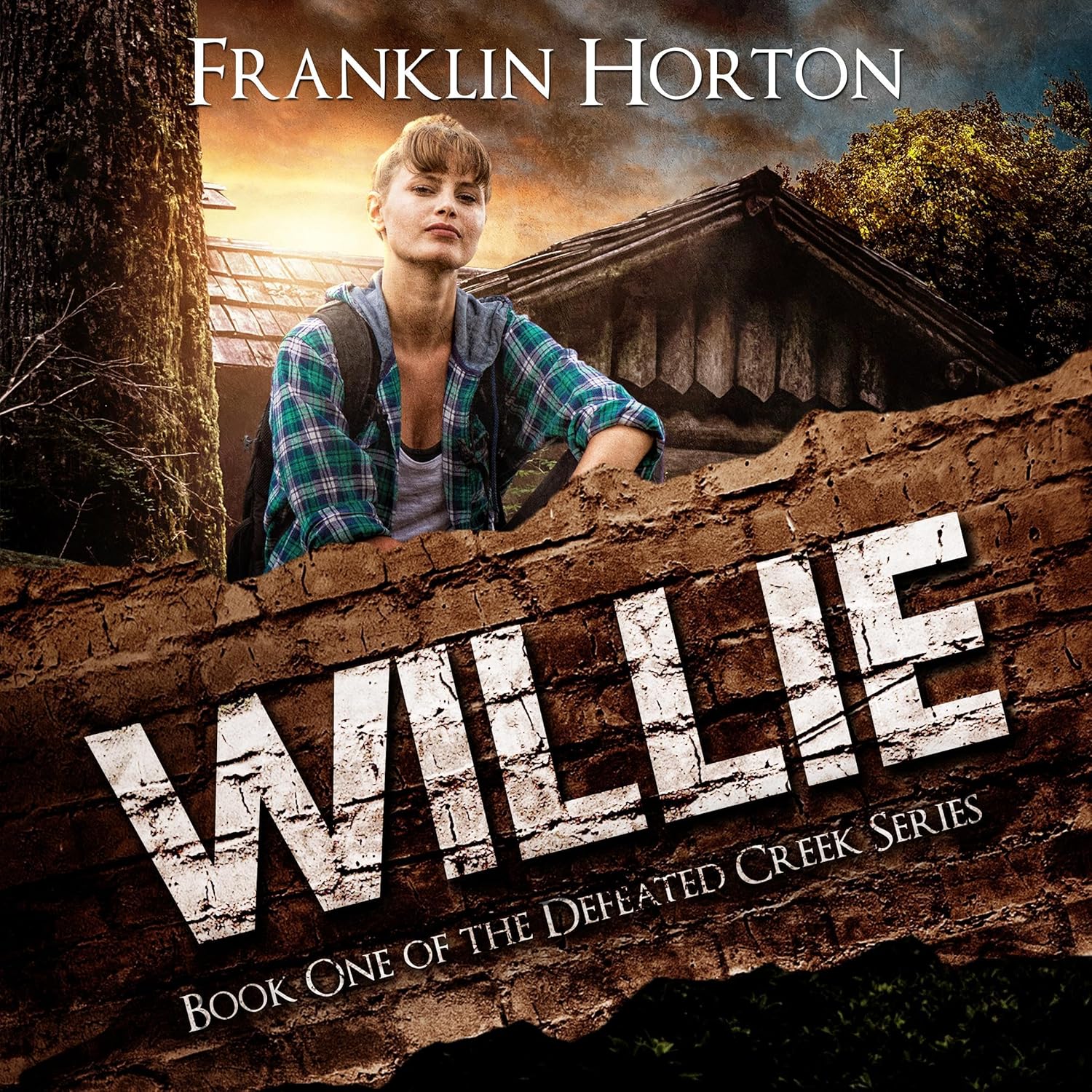 Amazon.com: Willie: Defeated Creek Series, Book One (Audible Audio ...