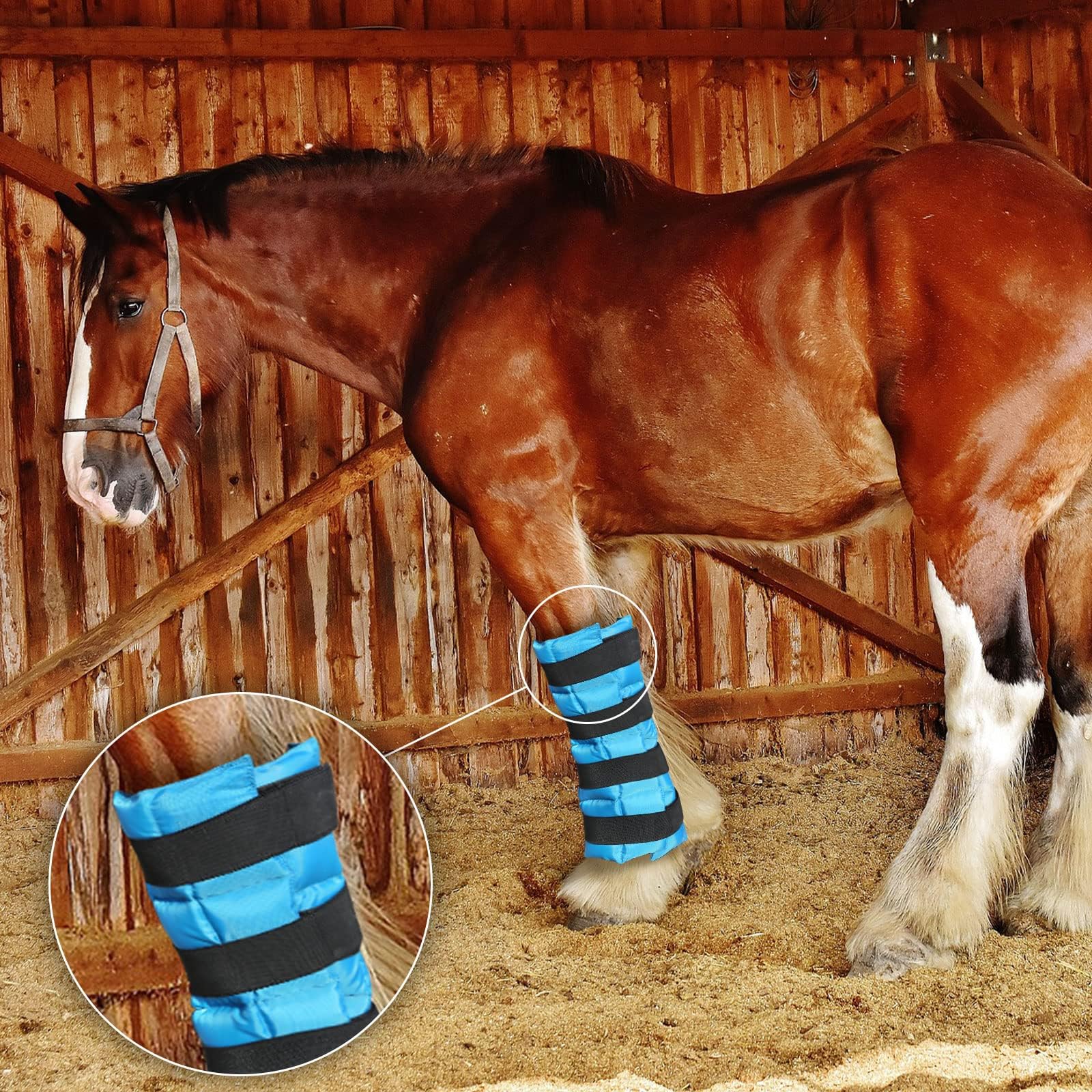 Snapklik.com : CareMaster Ice Boot For Horse Nylon Boot Wrap Ice ...