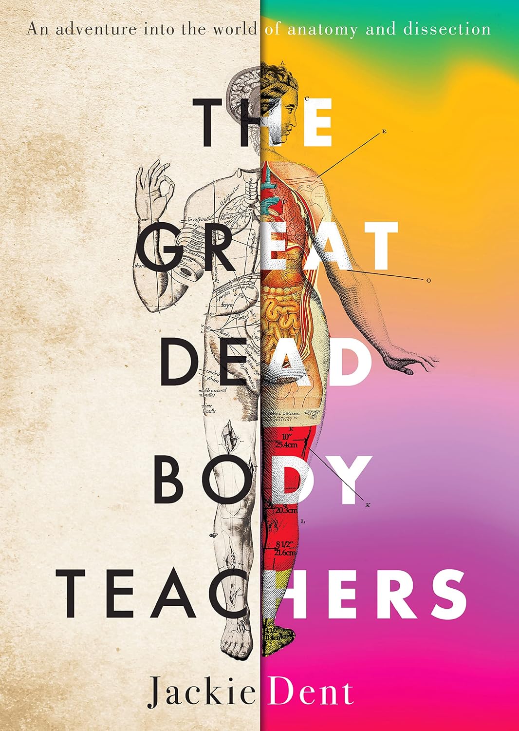 The Great Dead Body Teachers: An adventure into the world of anatomy ...