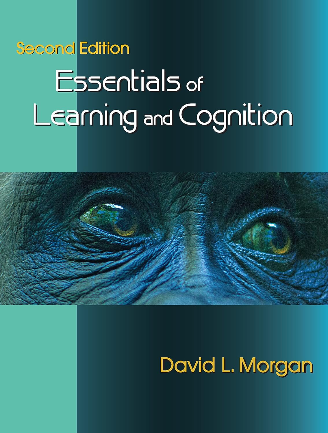Amazon.com: Essentials of Learning and Cognition eBook : Morgan, David ...