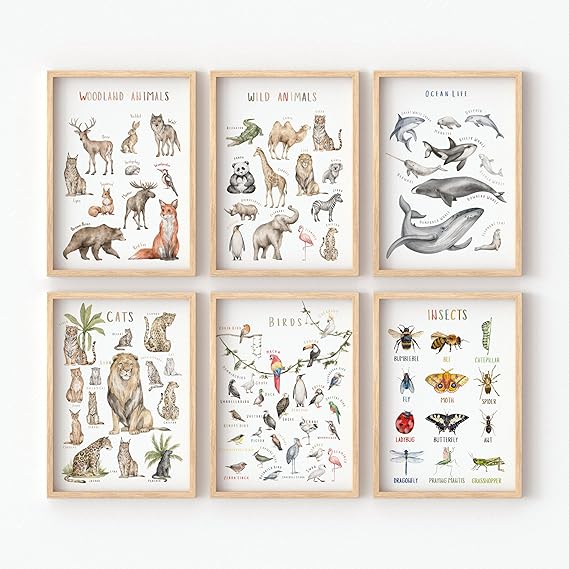 Amazon.com: BOLNEY Set of 6 Educational Posters - Kids Wall Art: Wild ...