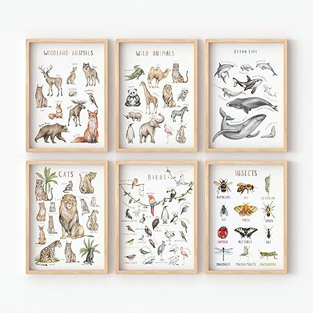 Amazon.com: BOLNEY Set of 6 Educational Posters - Kids Wall Art: Wild ...