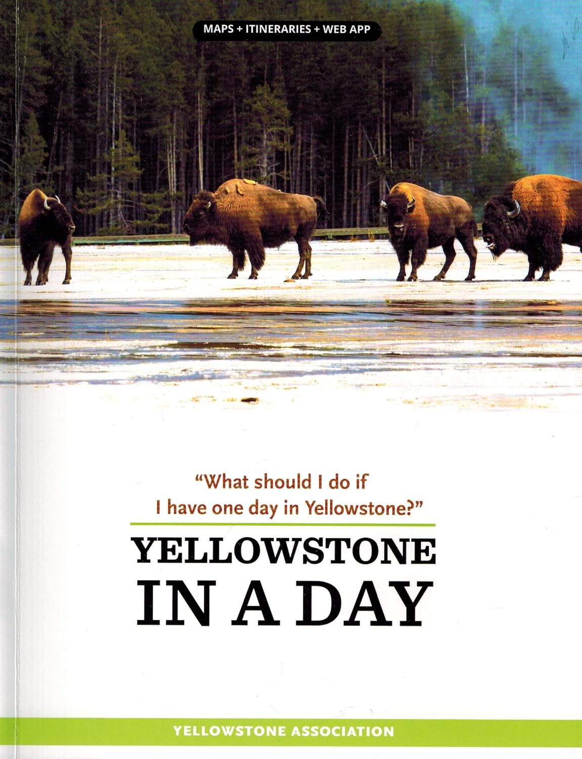 Yellowstone in a Day: Yellowstone Association: 9780934948272: Amazon ...