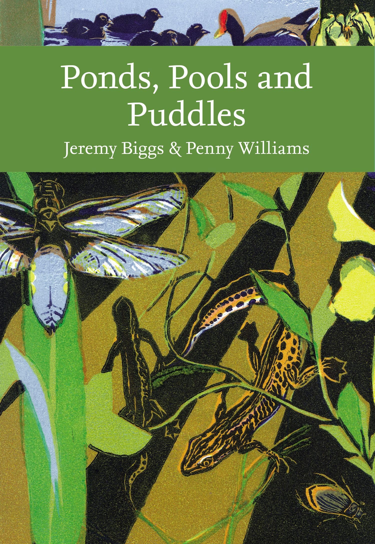 Ponds, Pools and Puddles (Collins New Naturalist Library): Amazon.co.uk ...