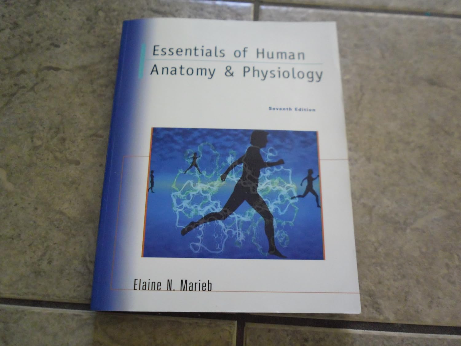 Essentials of Human Anatomy & Physiology - 7th ed: Marib: Amazon.com: Books