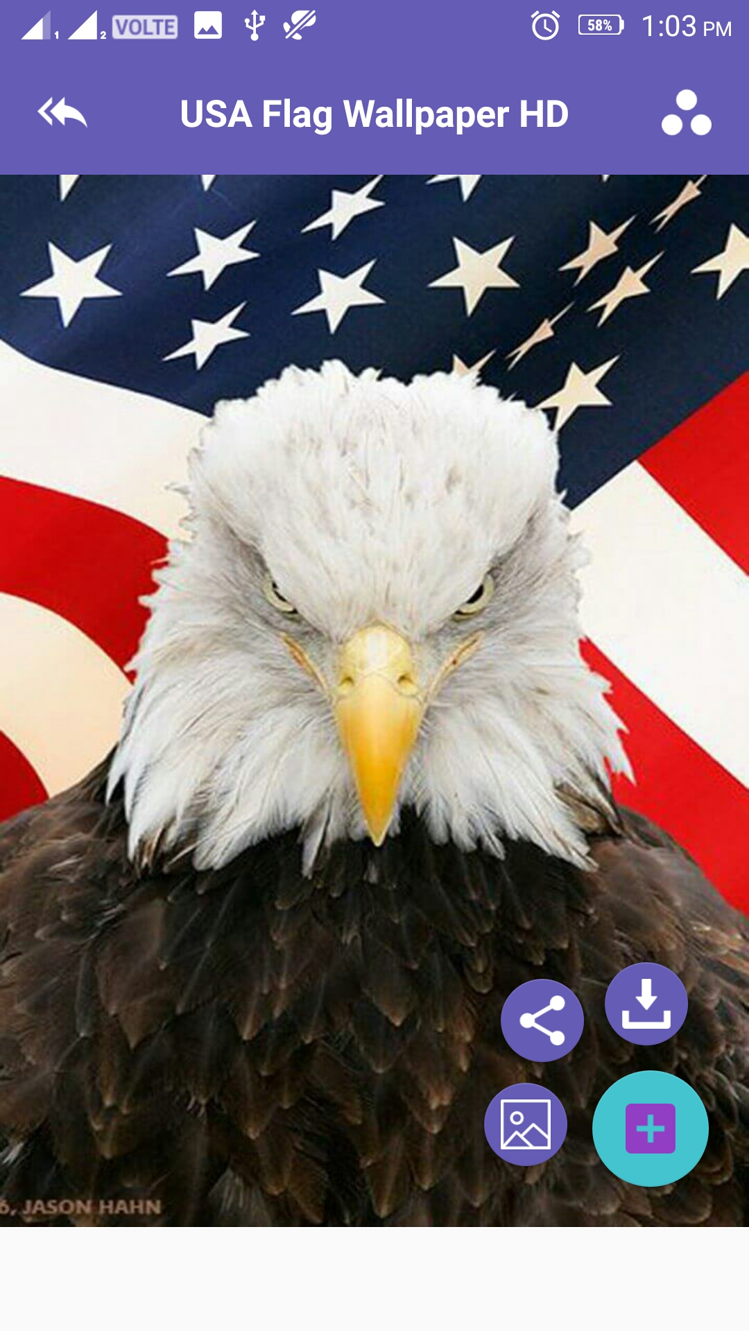 Usa Eagle Wallpaper
