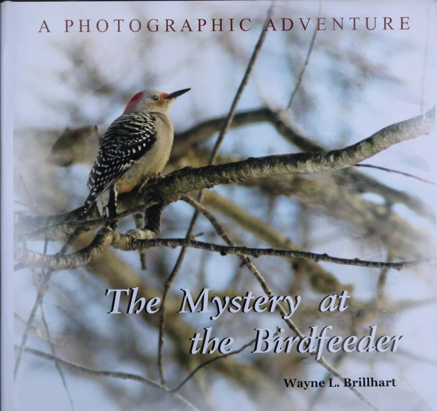 The Mystery at the Birdfeeder: Wayne L. Brillhart: 9780984266227 ...