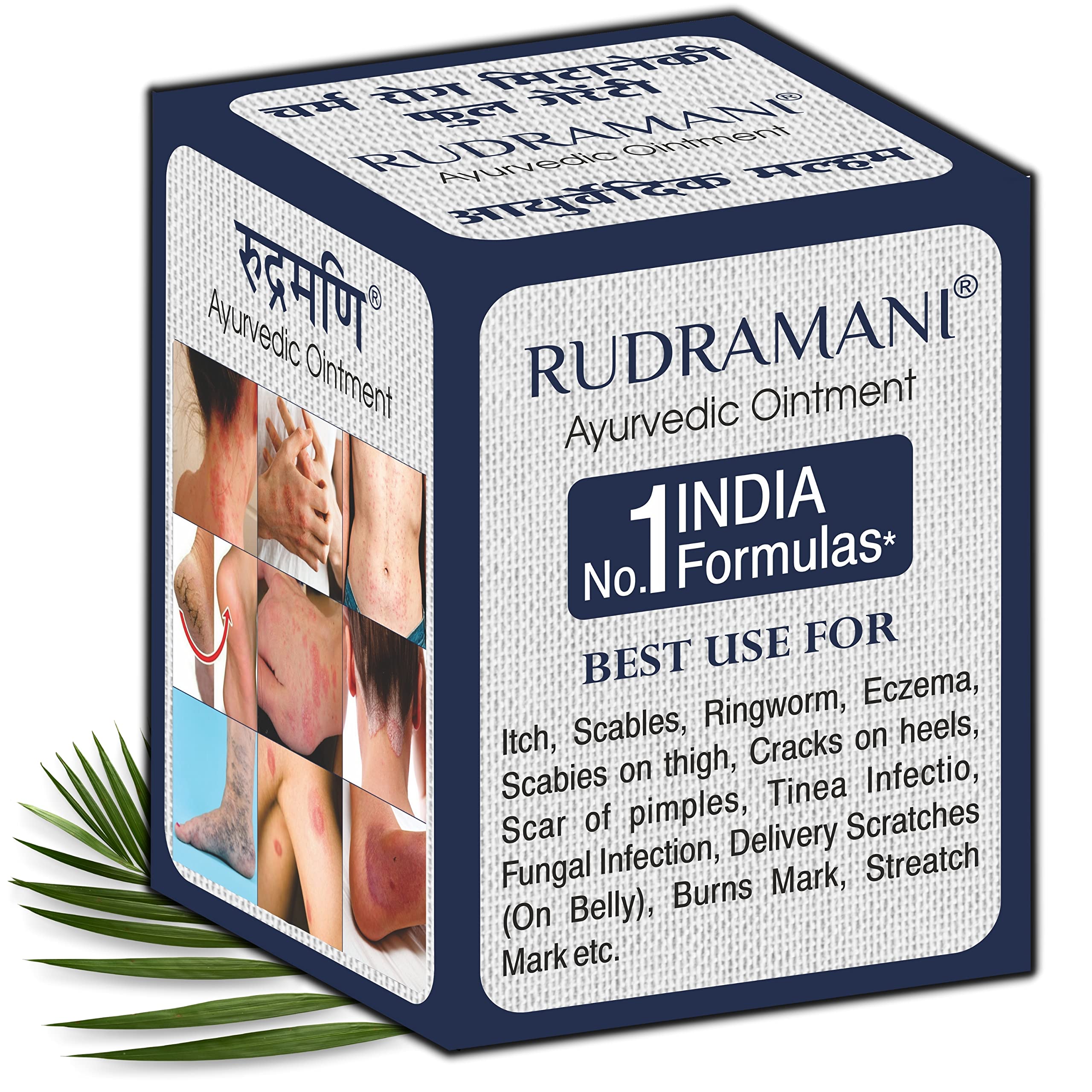 Buy Rudramani Marham Malam Dad Khaj Khujli fungal Ointment - for ...