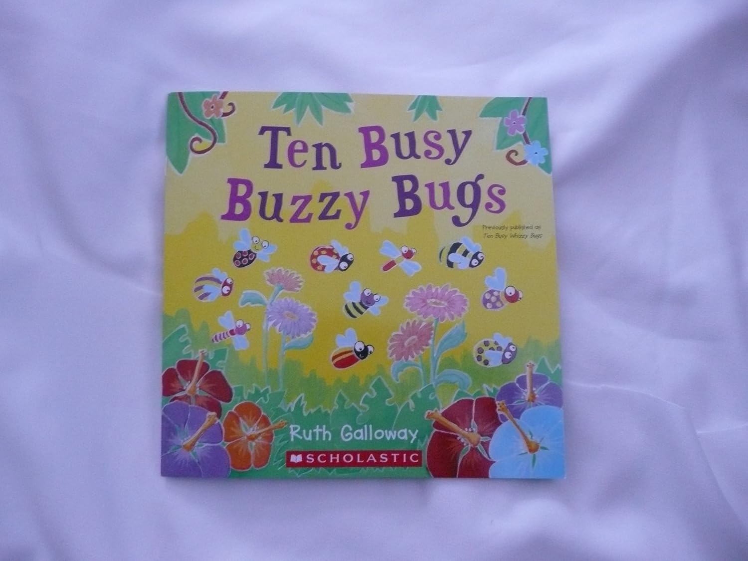 Ten Busy Buzzy Bugs: Ruth Galloway: 9780545551083: Amazon.com: Books