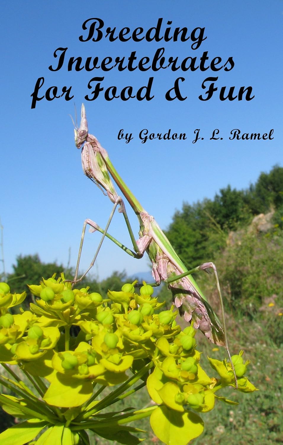 Amazon.com: Breeding Invertebrates for Fun and Food eBook : Ramel ...