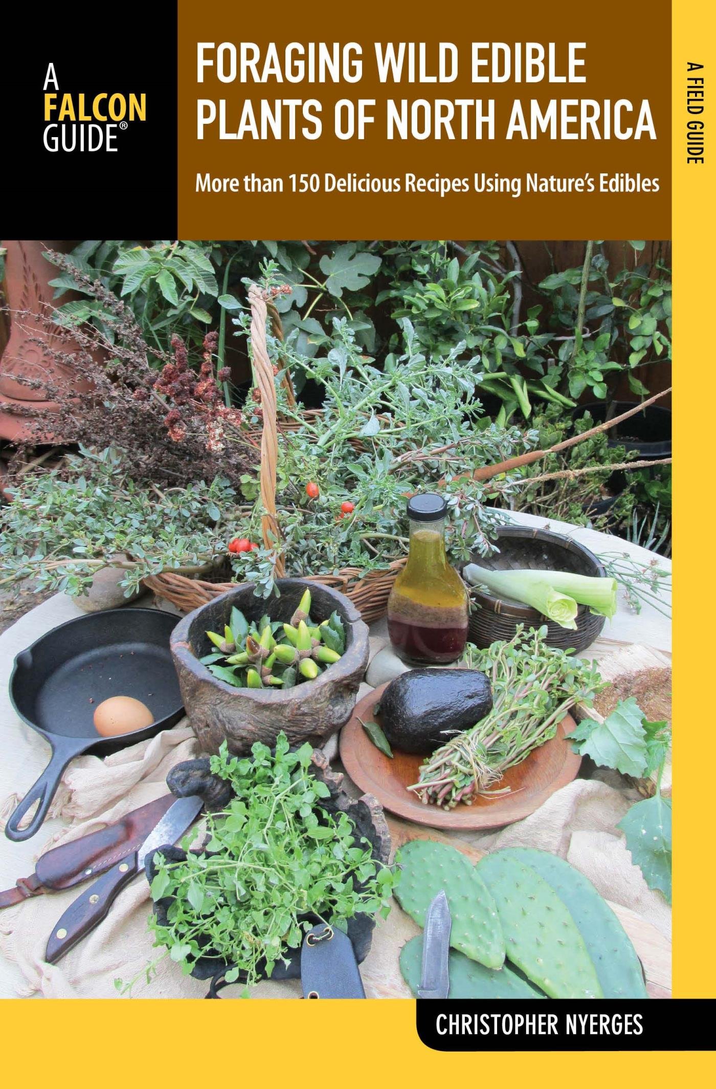 Buy Foraging Wild Edible s of North America: More than 150 Delicious ...