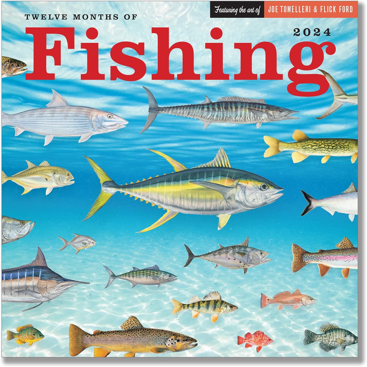 Amazon.com: Twelve Months of Fishing Wall Calendar 2024, Monthly ...