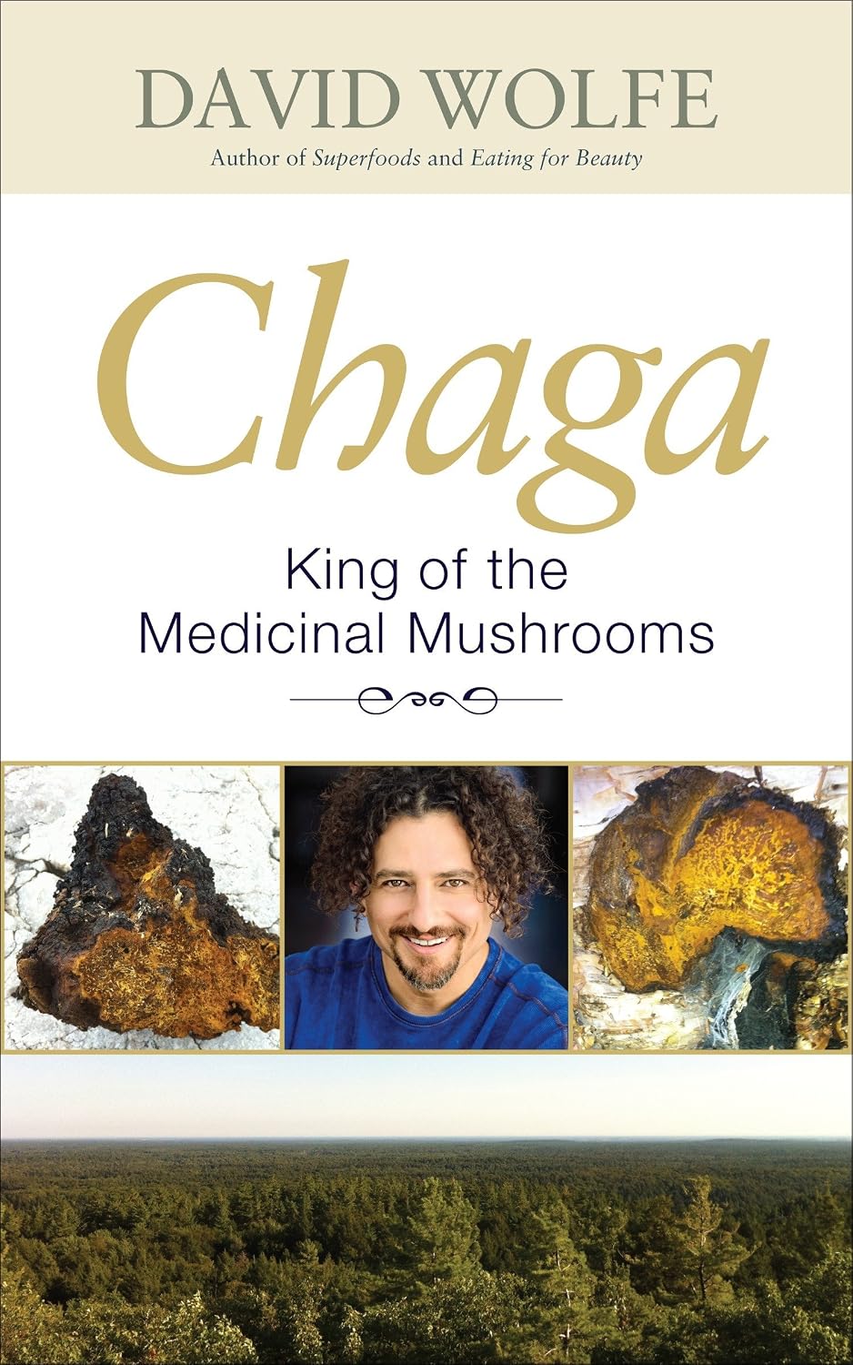Chaga: King of the Medicinal Mushrooms: Amazon.co.uk: Wolfe, David ...