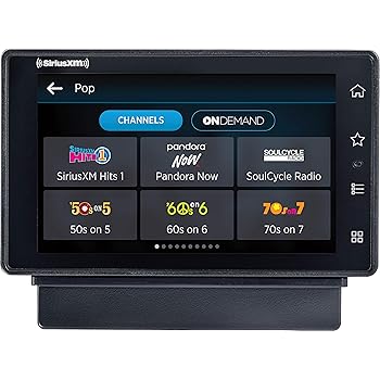 Amazon.com: SiriusXM SXWB1V1 Tour Satellite Radio with 360L, with ...