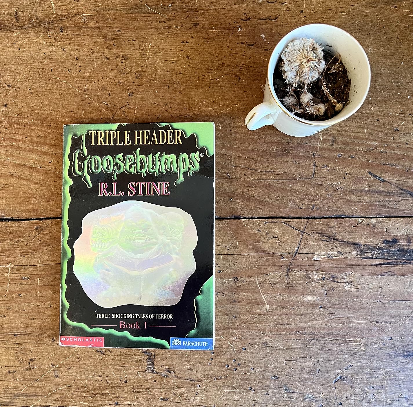 Goosebumps Triple Header #1: R.L. Stine: 9780613050753: Amazon.com: Books