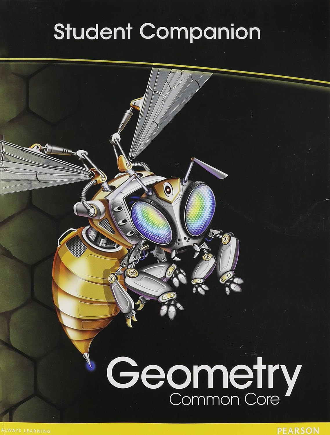 High School Math Common-Core Geometry Student Companion Book Grade 9/10 ...