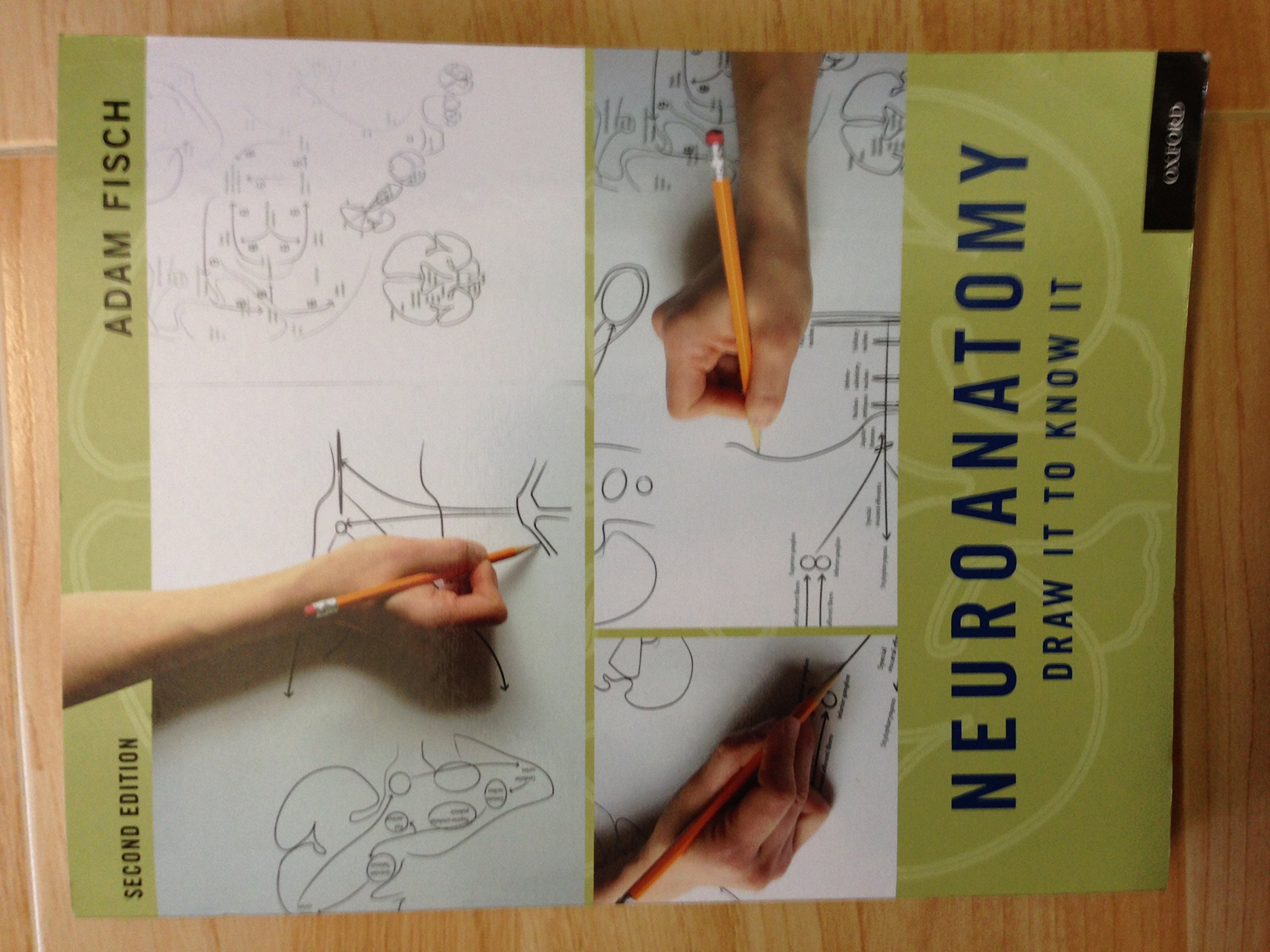 Neuroanatomy: Draw It to Know It: 9780199845712: Medicine & Health ...