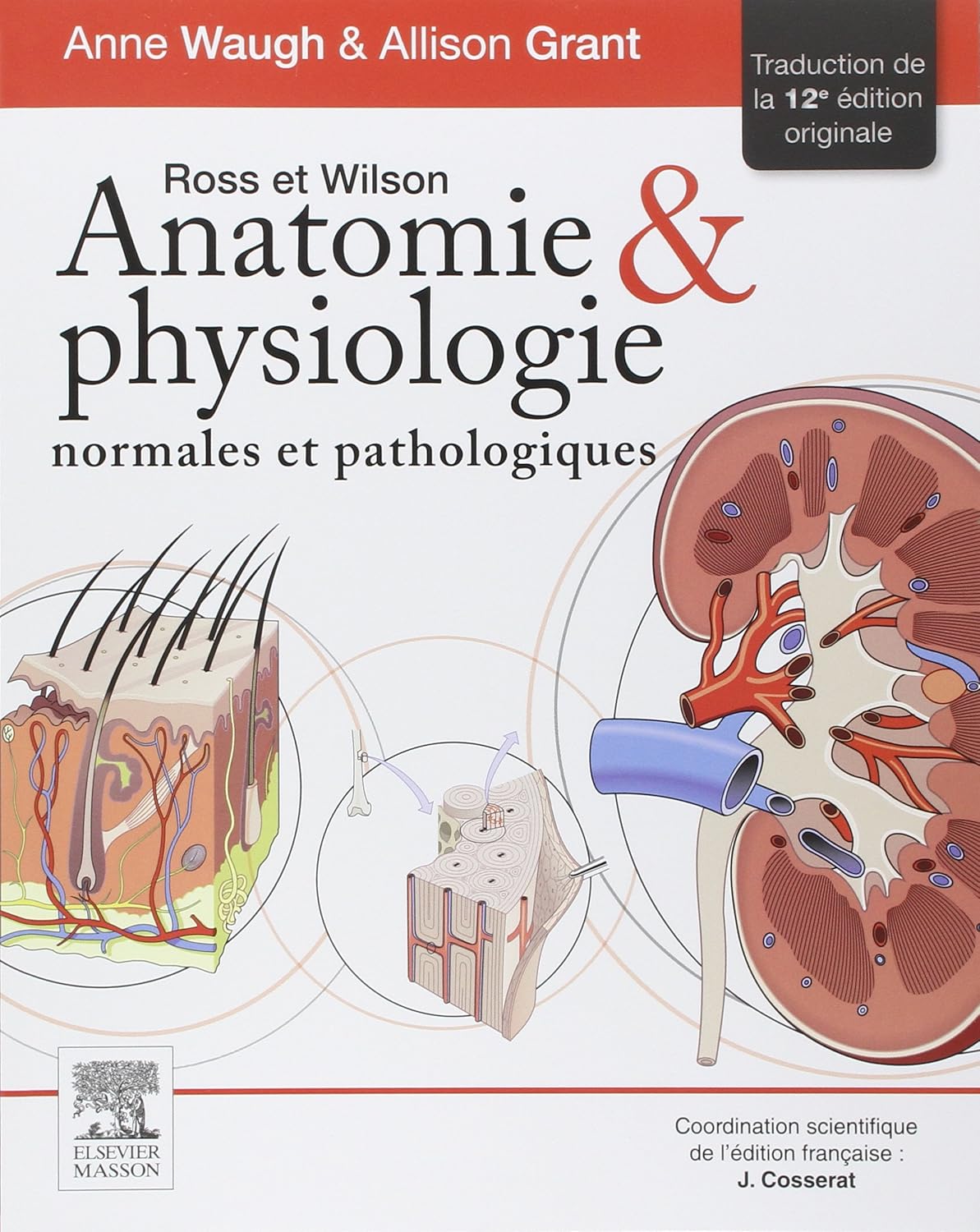 Ross Et Wilson: Anatomie Et Physiologie Normales Et Pathologiques ...