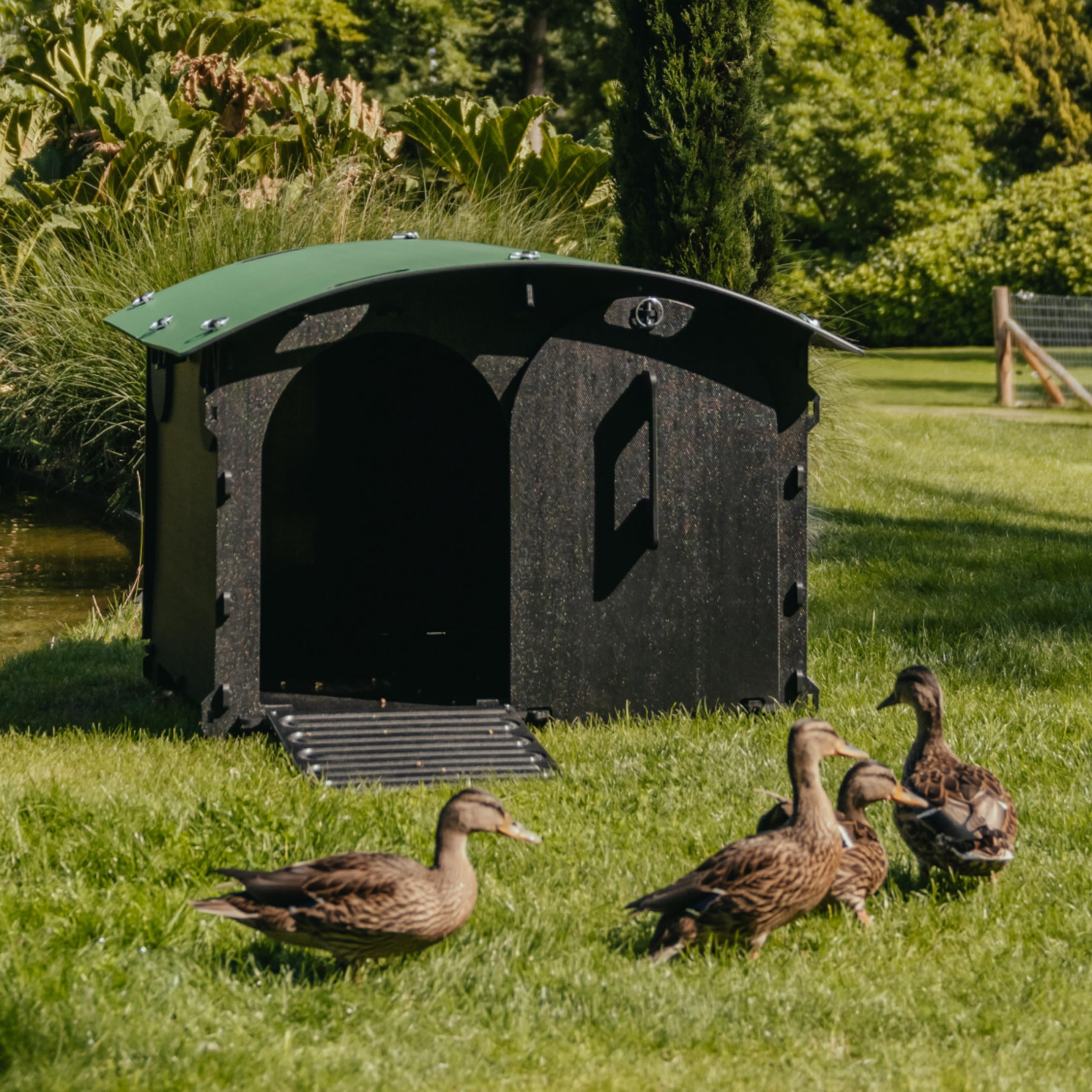 Amazon.com : Nestera Plastic Duck House – Sturdy, Easy to Clean Duck ...