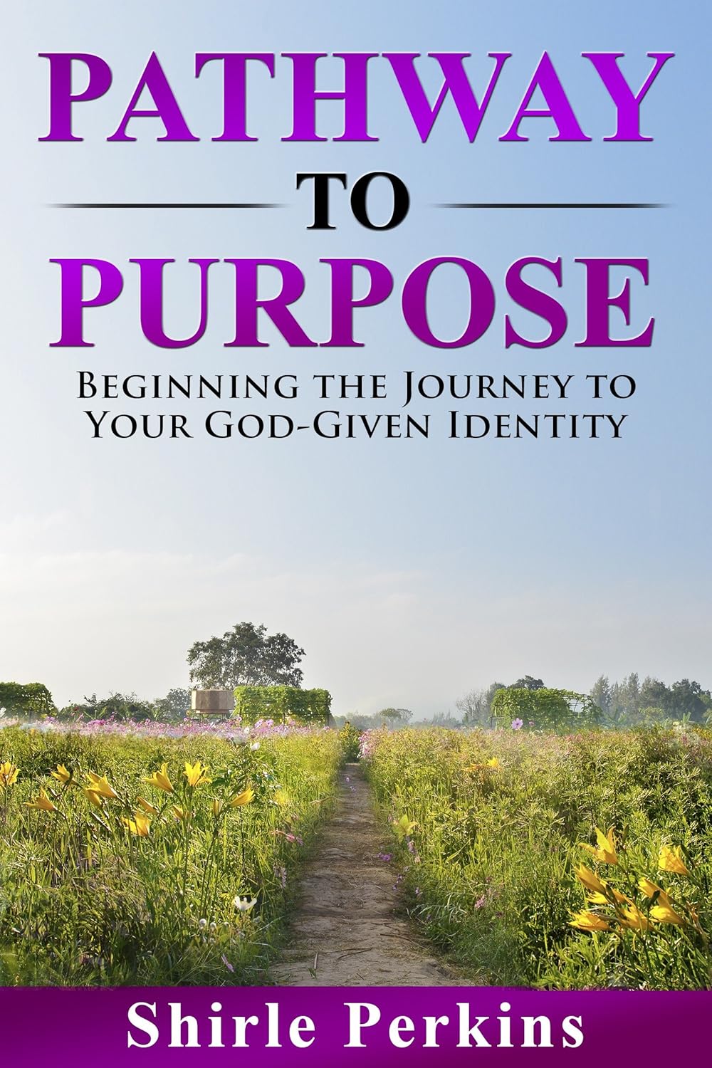 Pathway to Purpose: Beginning the Journey to Your God-Given Identity ...