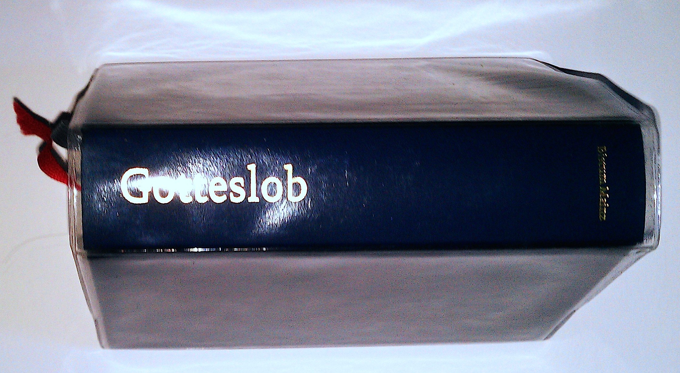 Gotteslob: Katholisches Gebet- und Gesangbuch für das Bistum Mainz ...