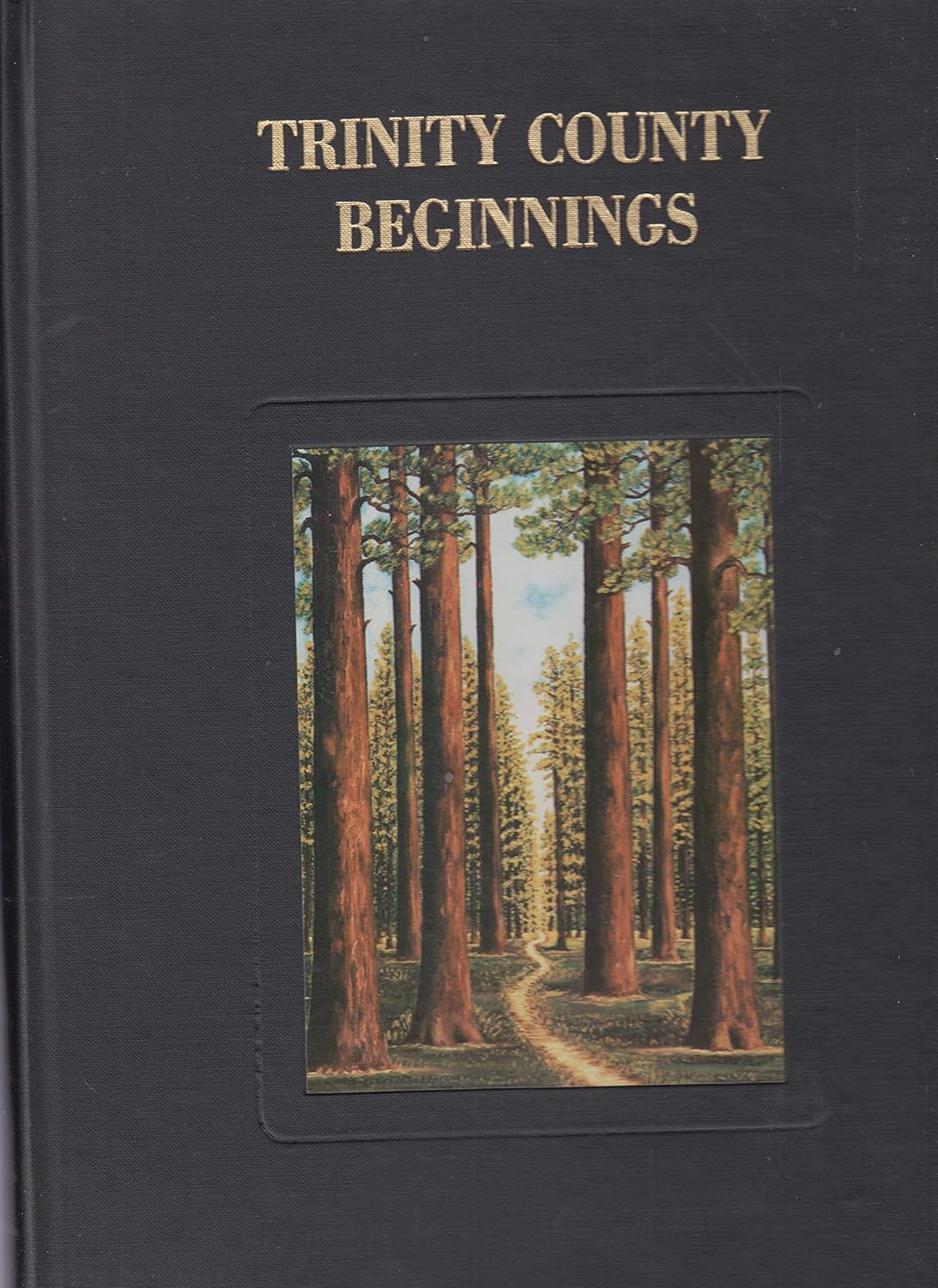 Trinity County Beginnings, Texas History of Trinity County Texas ...