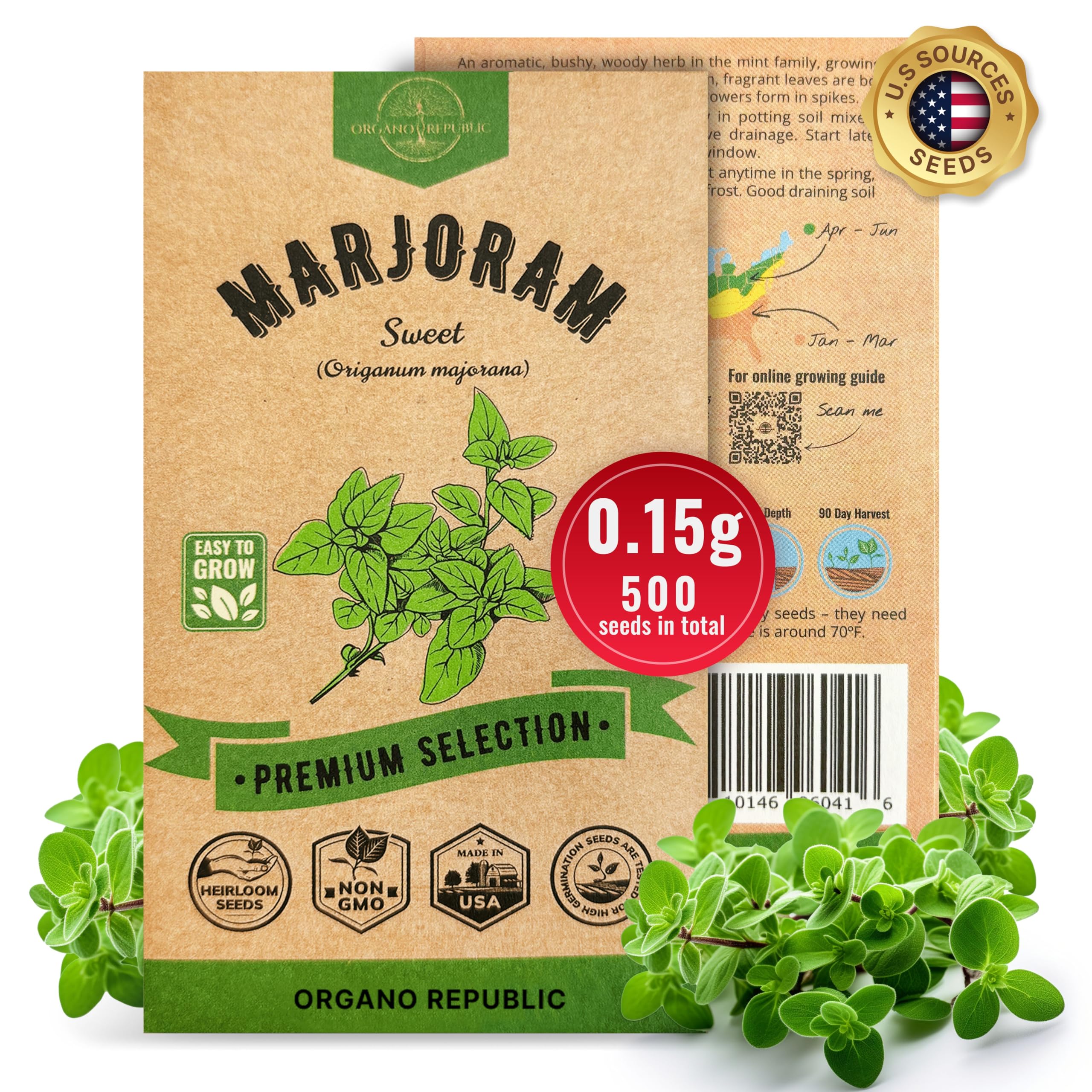 Amazon.com : Marjoram Seeds Pack 0.15 G - Over 500 Non-GMO Heirloom ...