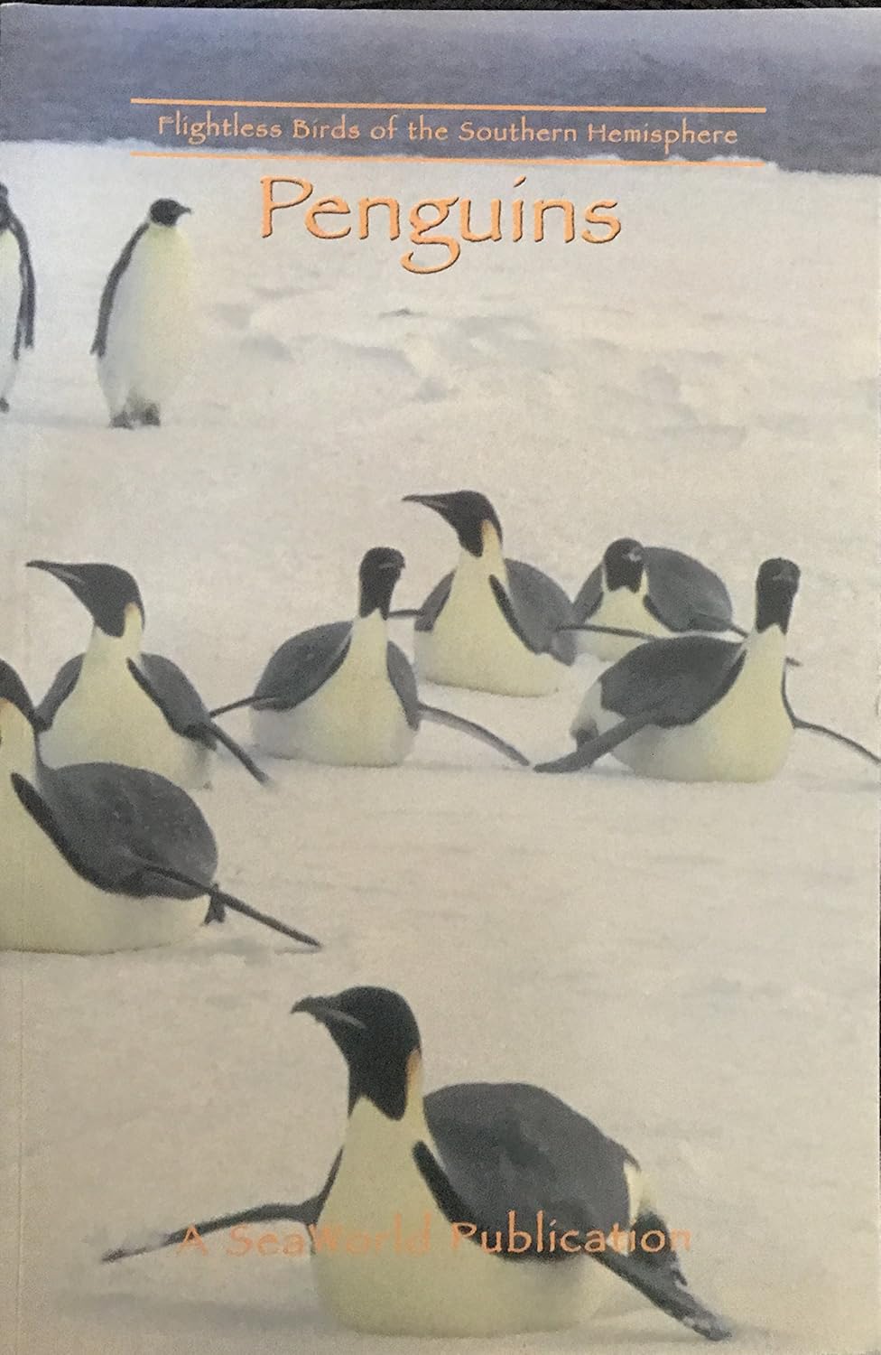 Penguins: Flightless Birds of the Southern Hemisphere: unknown author ...