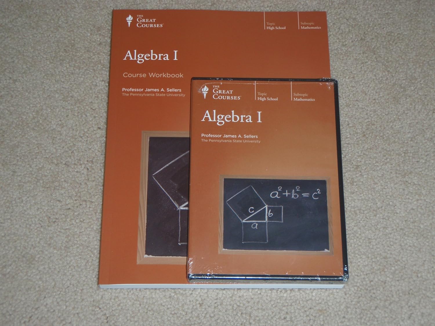 High School Algebra I Complete DVD Set: The Teaching Company : Amazon ...