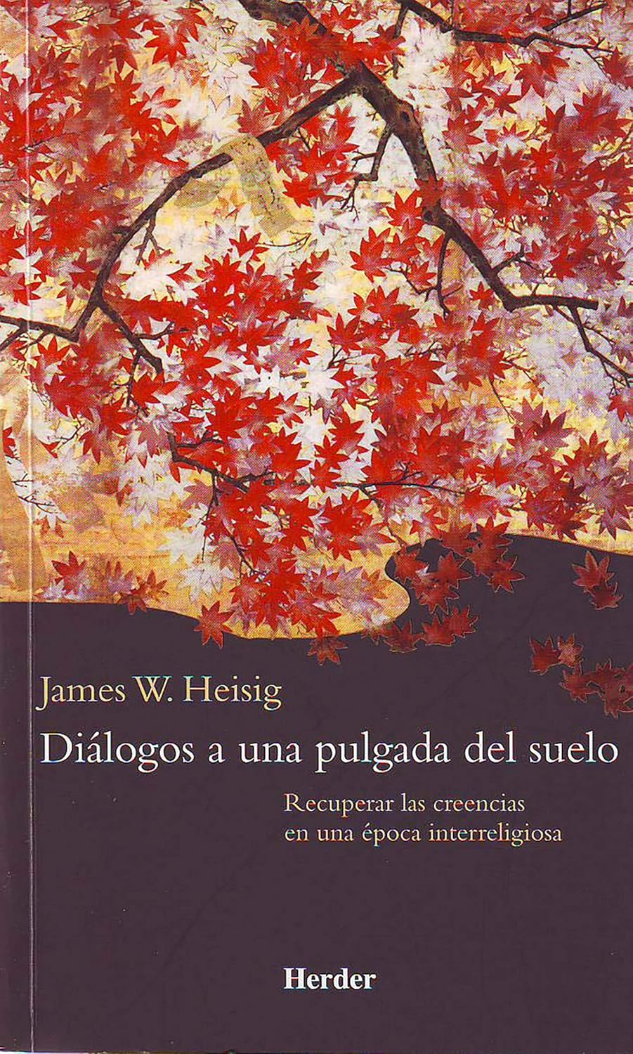 Dialogos A Una Pulgada Del Suelo: Recupe (Spanish Edition): Heisig ...