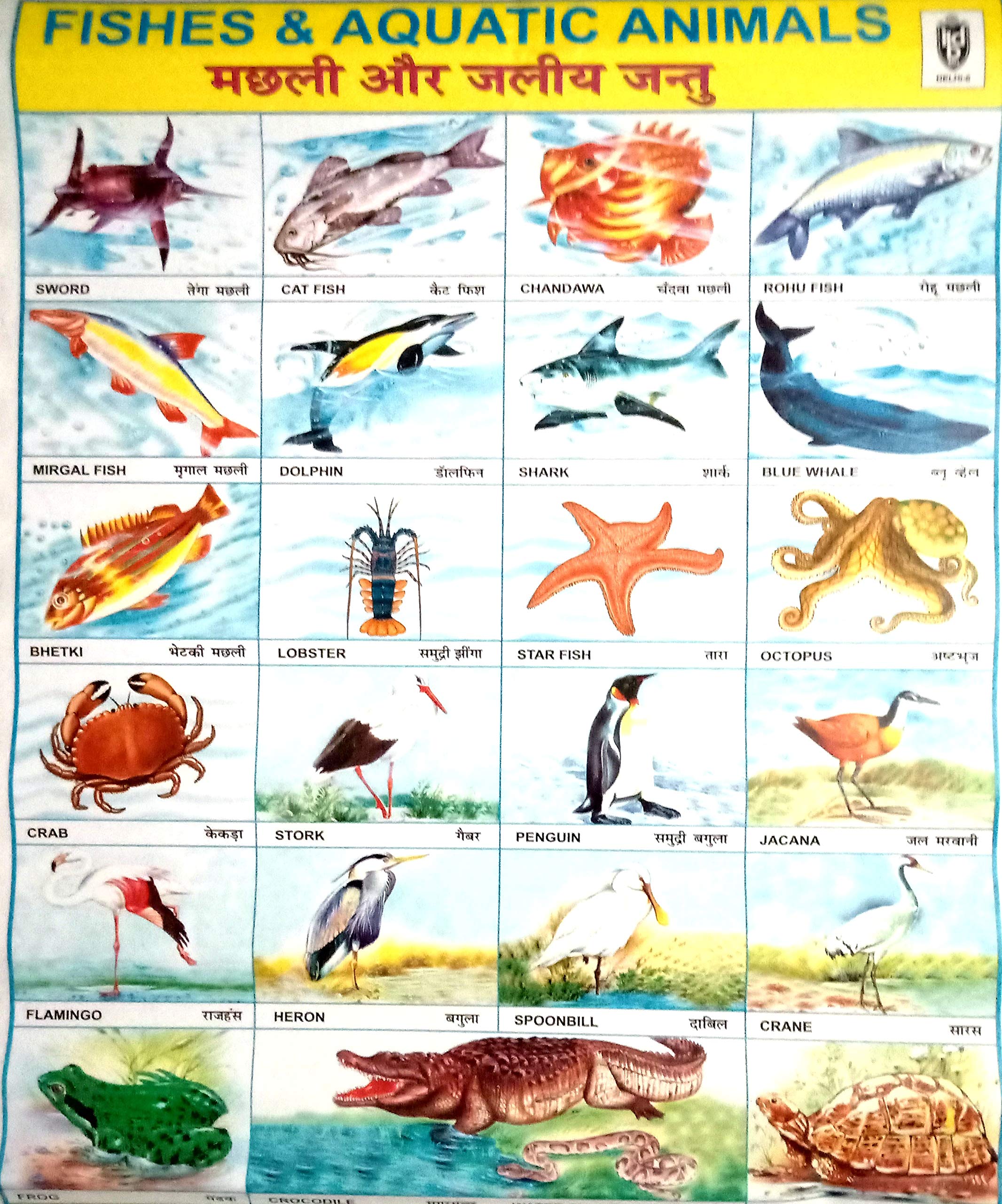 Images Of Water Animals With Names