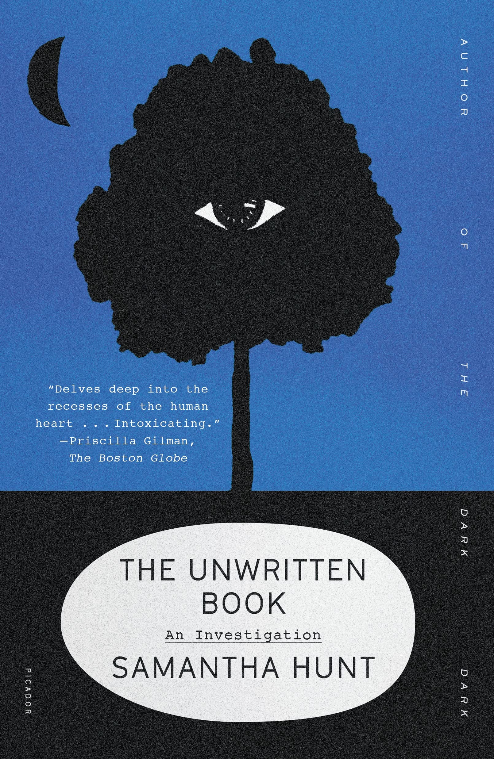 Unwritten Book: Hunt, Samantha: 9781250863089: Amazon.com: Books