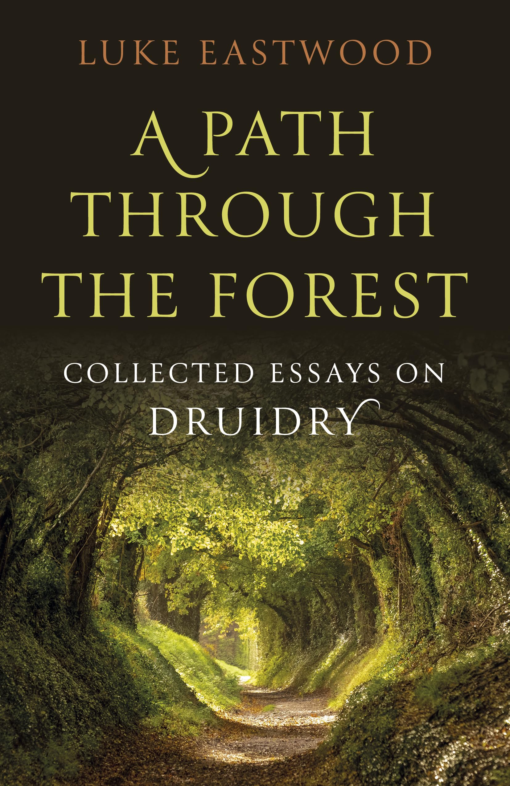 Path through the Forest, A: Eastwood, Luke: 9781803415086: Amazon.com ...