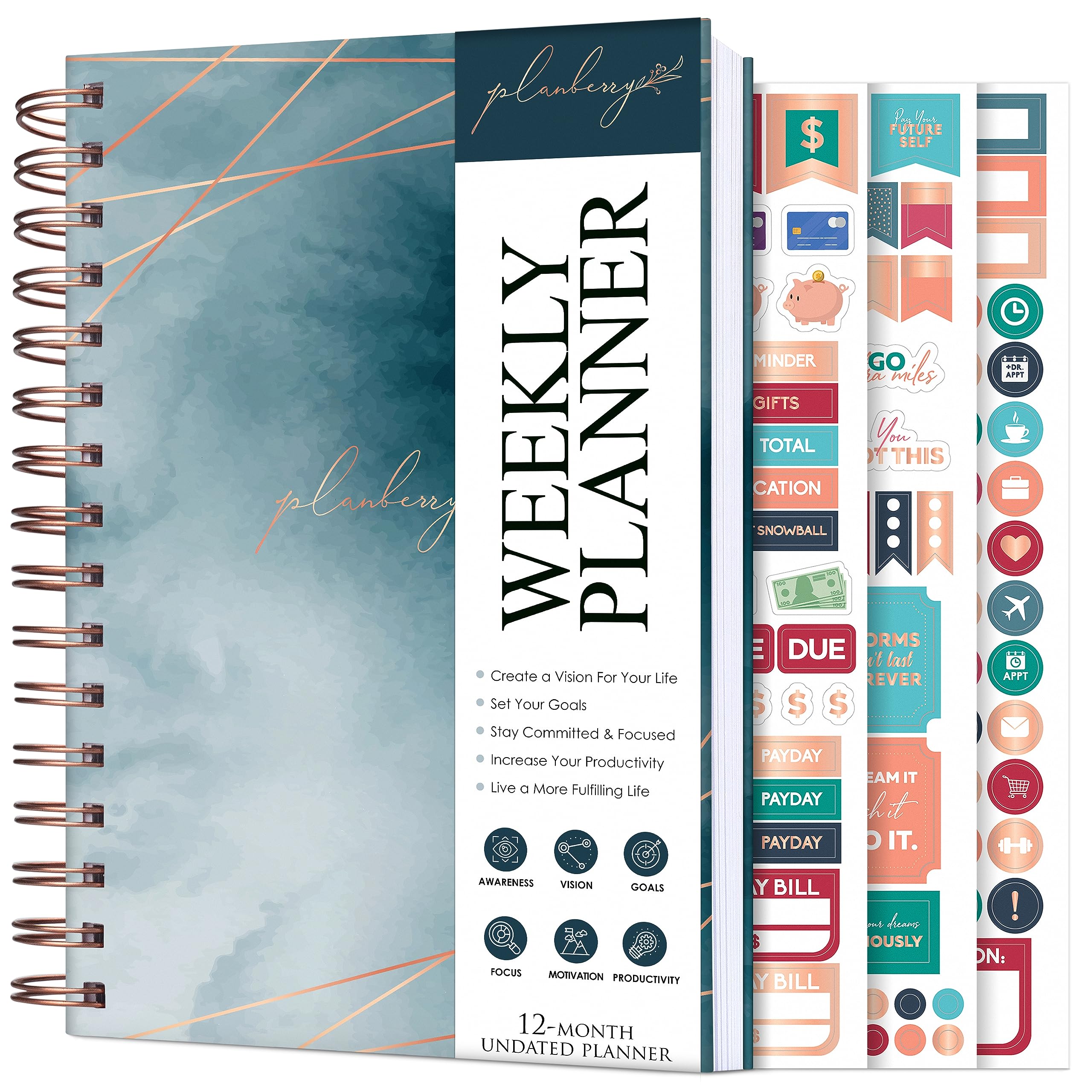 Snapklik.com : PLANBERRY Weekly Planner Undated Life Organizer & Budget ...