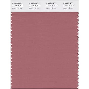 PANTONE Smart 17-1520X Color Swatch Card, Canyon Rose - Wall Decor ...