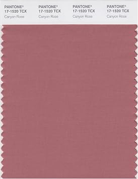 PANTONE SMART 17-1520X Color Swatch Card, Canyon Rose - Wall Decor ...