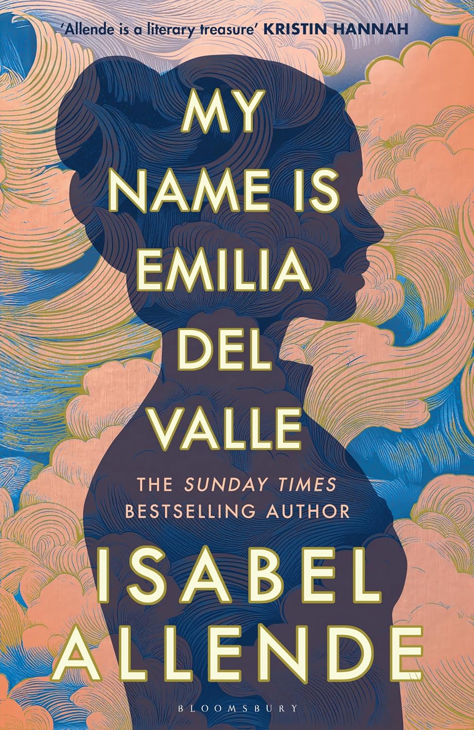 My Name is Emilia del Valle - Kindle edition by Allende, Isabel, Riddle ...