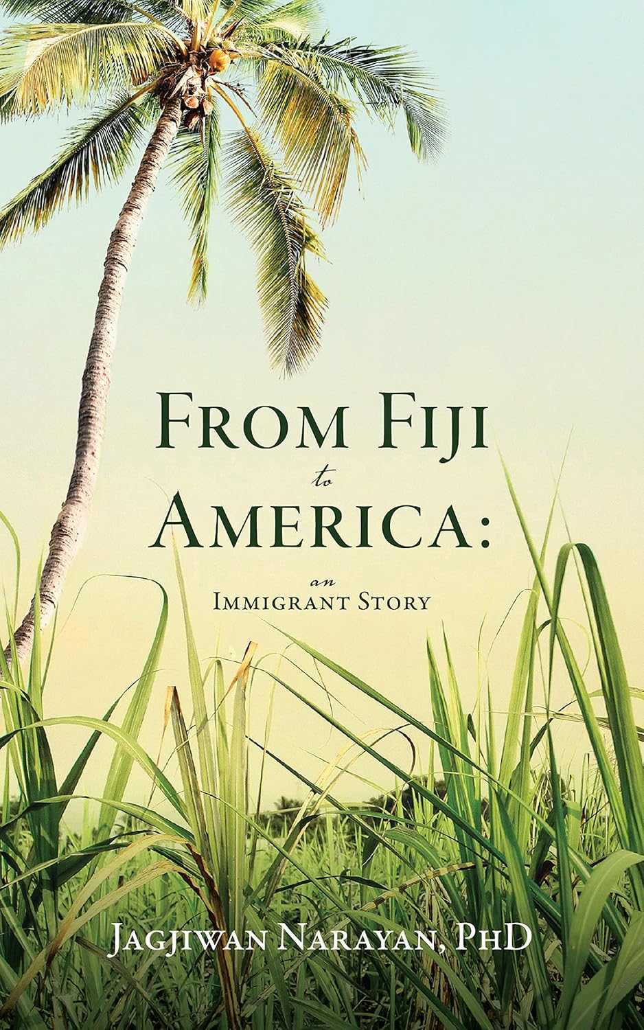 From Fiji to America: An Immigrant Story - Kindle edition by Narayan ...