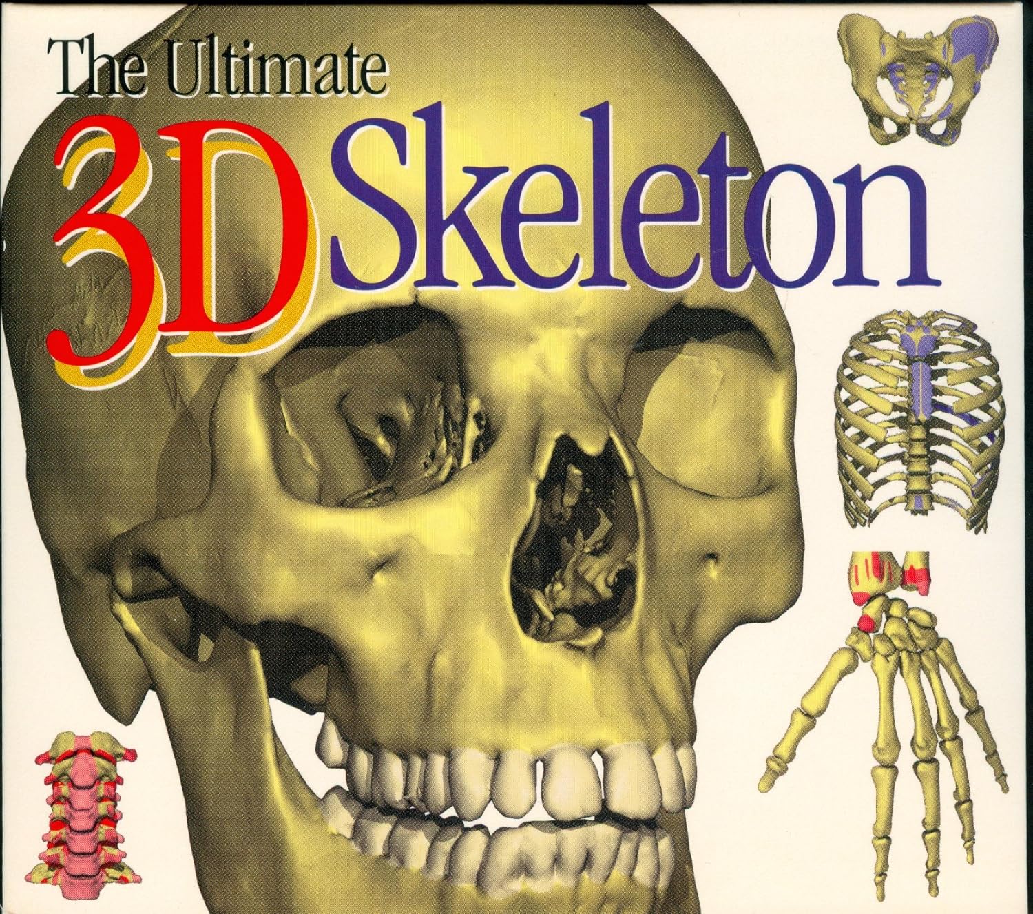 Amazon.com: The Ultimate 3D Skeleton on CD-ROM for Windows ...