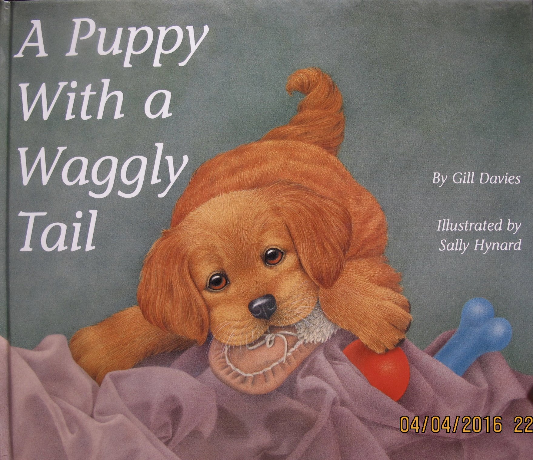 A Puppy with a Waggly Tail: Gillian Davies, Sally Hynard: 9781858547213 ...