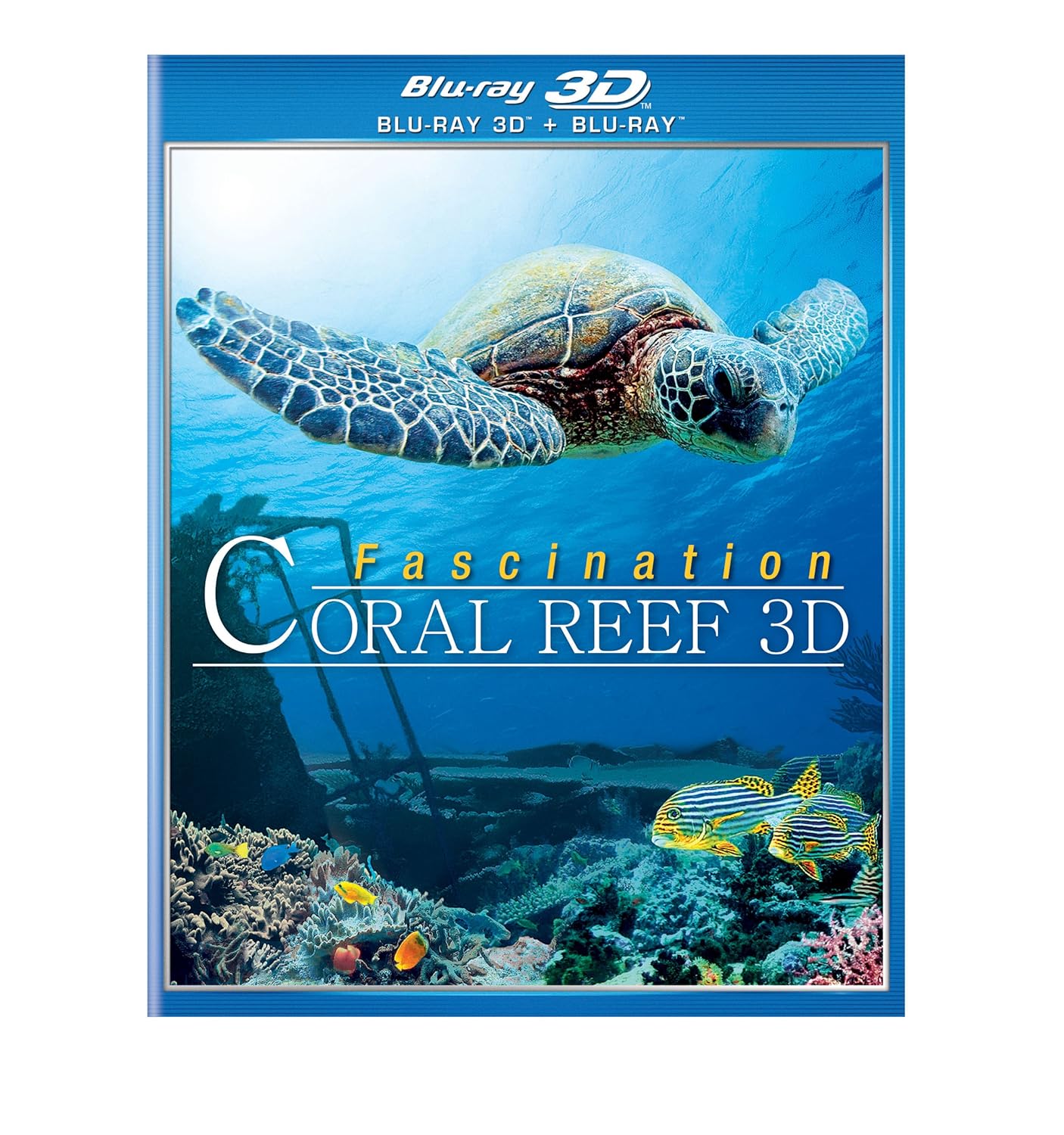 Amazon.com: Fascination Coral Reef [Blu-ray] : Rene Schoepfer, Benjamin ...