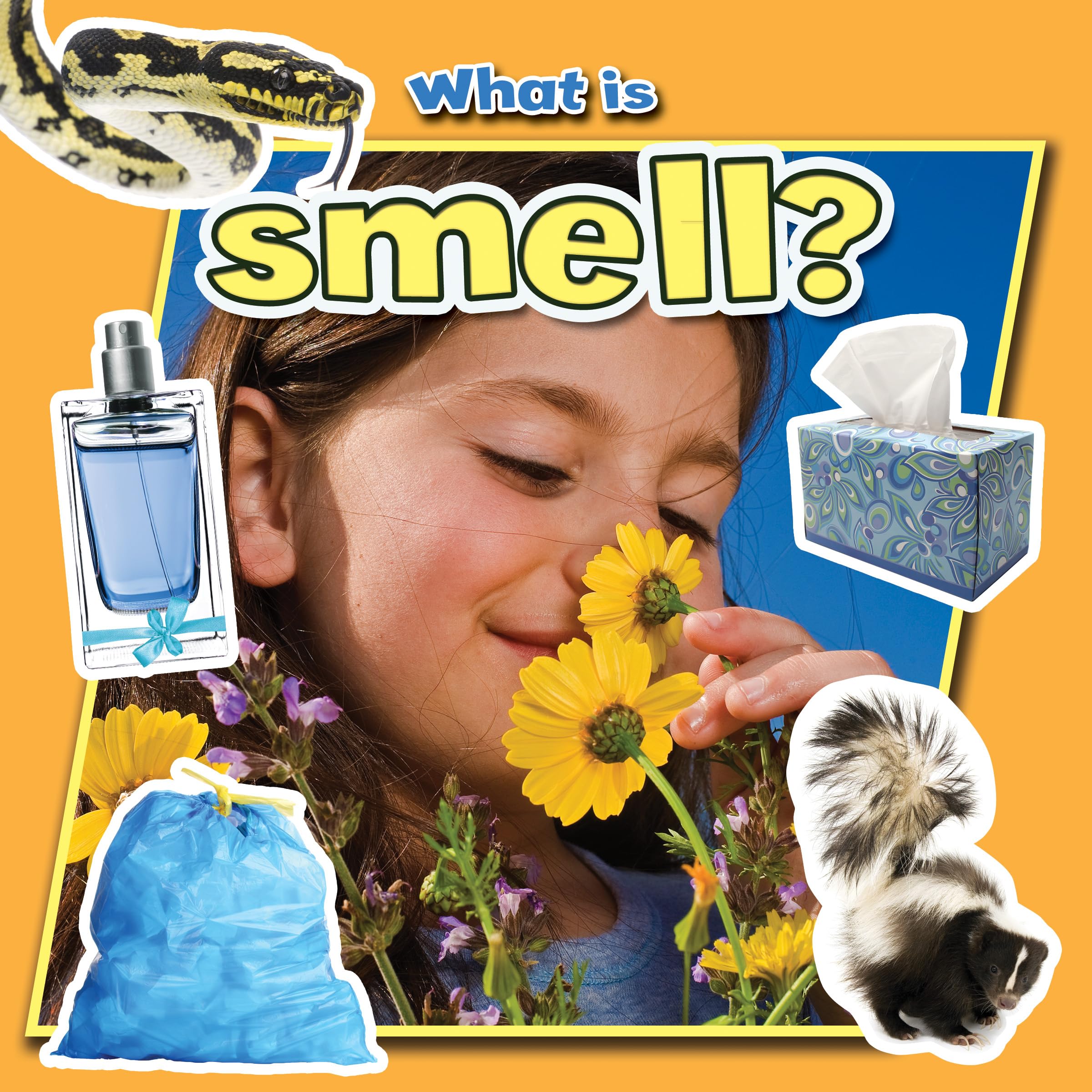 What Is Smell? (Senses Close-Up): Aloian, Molly: 9780778709992: Amazon ...